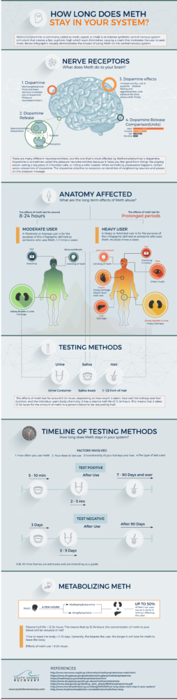 Crystal Meth & Your Brain: An Infographic | Nick Byrd, Ph.D.
