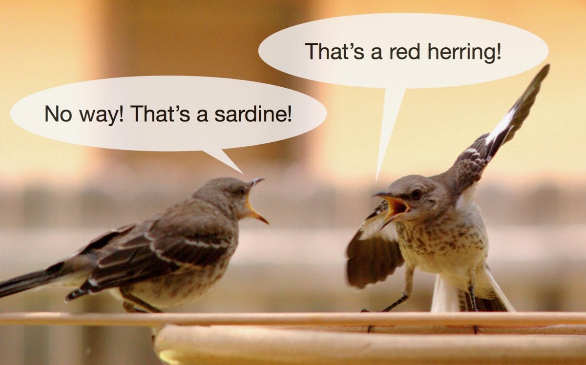 How Arguments Work: The Basics | Nick Byrd, Ph.D.